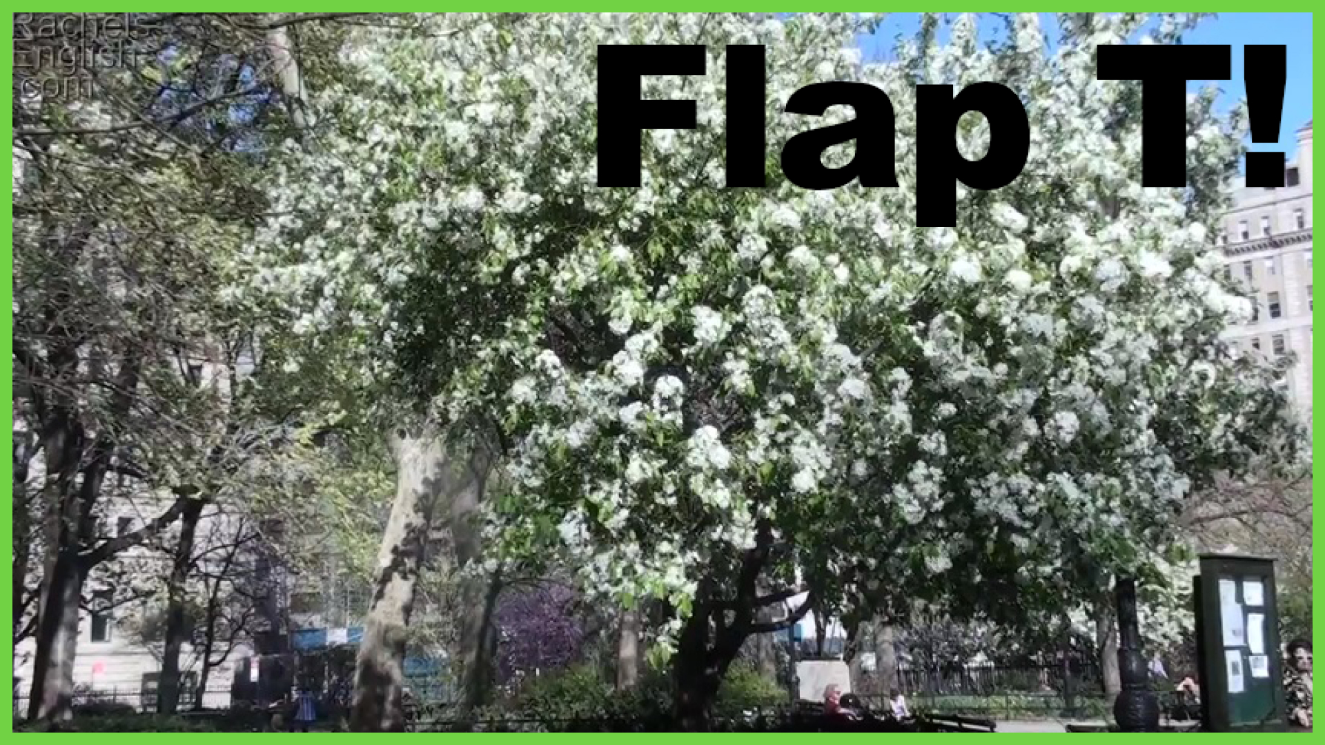 The Flap T! - Rachel's English